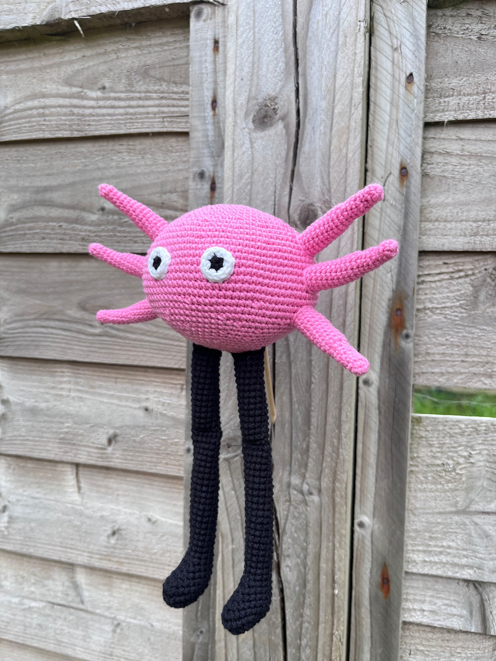 Kinito the Axolotl Kinitopet Your Friends Crochet Toy Amigurumi - Etsy