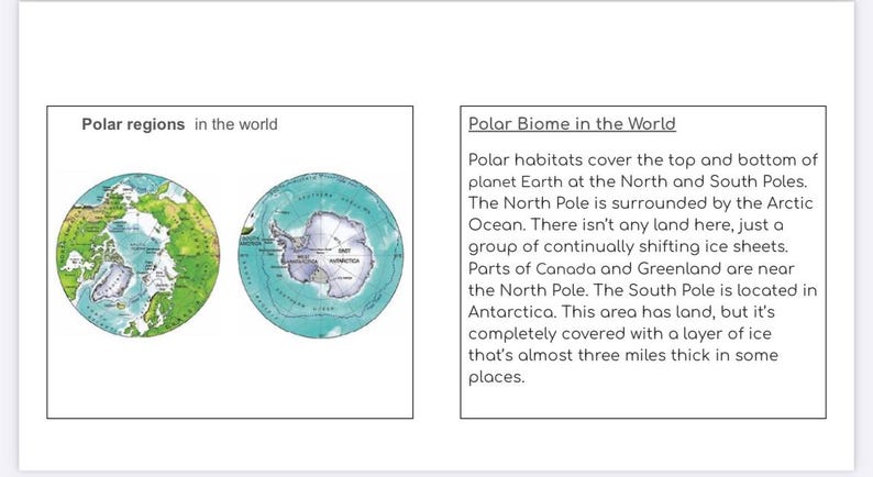 Polar Regions - Biome - Etsy