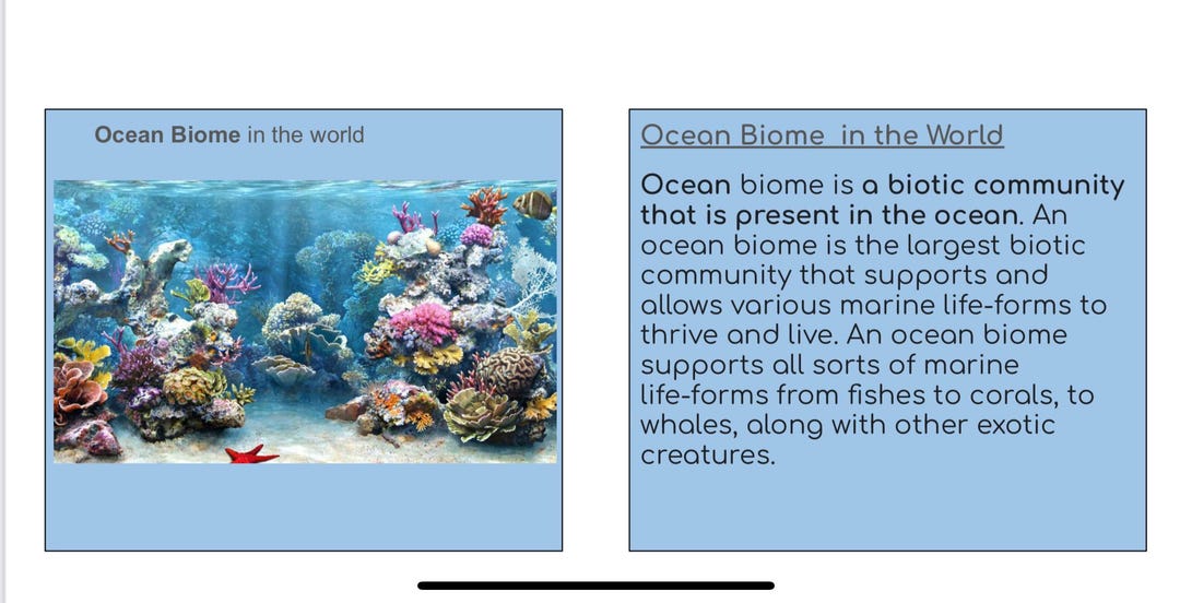 Ocean Biome Montessori Printable - 12-page PDF Educational Cards ...
