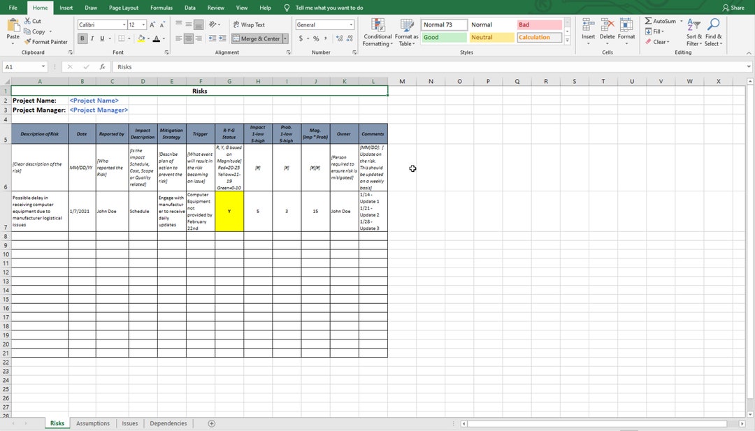 Simple Project Manager - Project Tracker RAID Log Template - Etsy