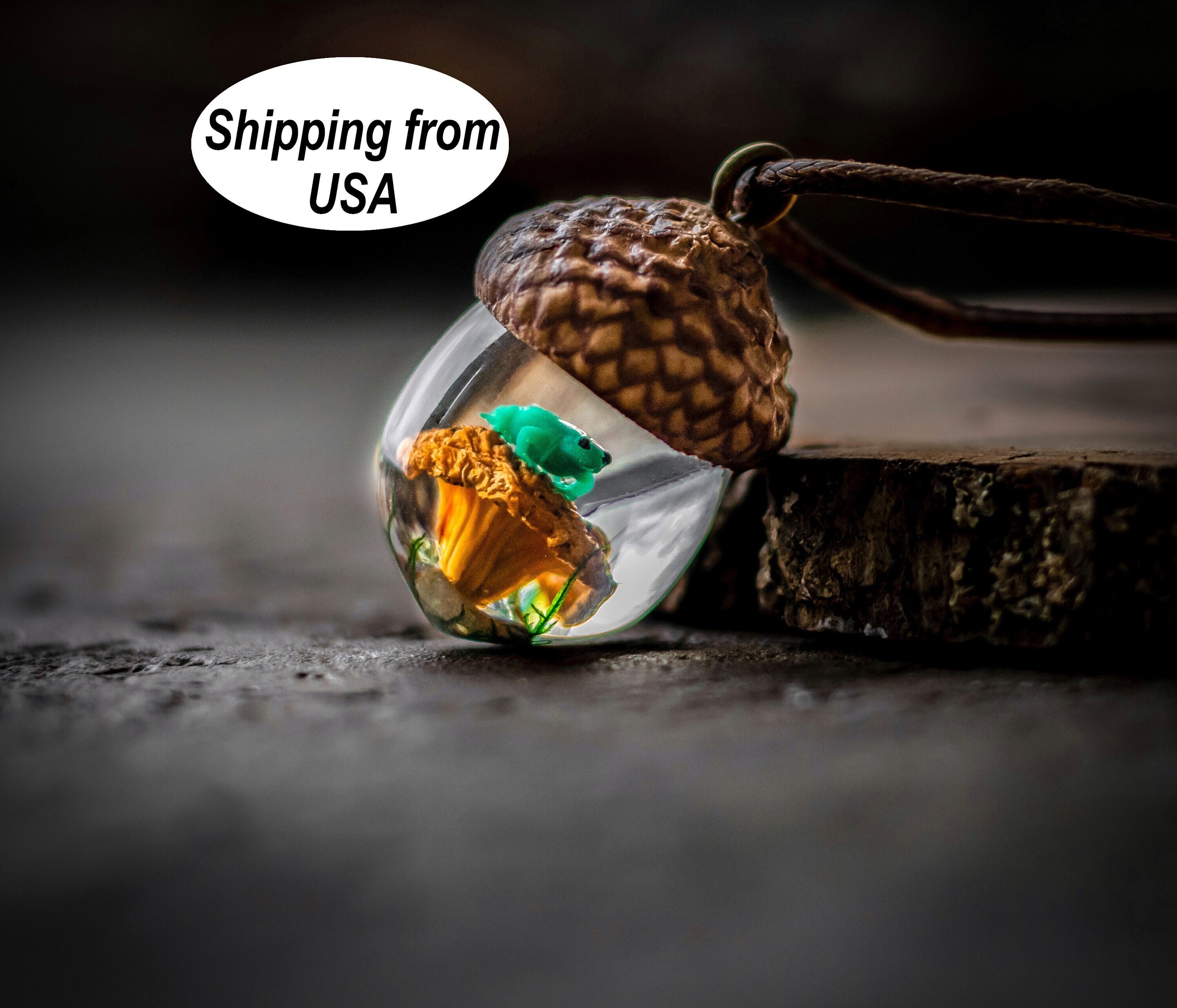 Acorn Necklace With Mushroom Frog Resin Jewelry Acorn - Etsy Canada
