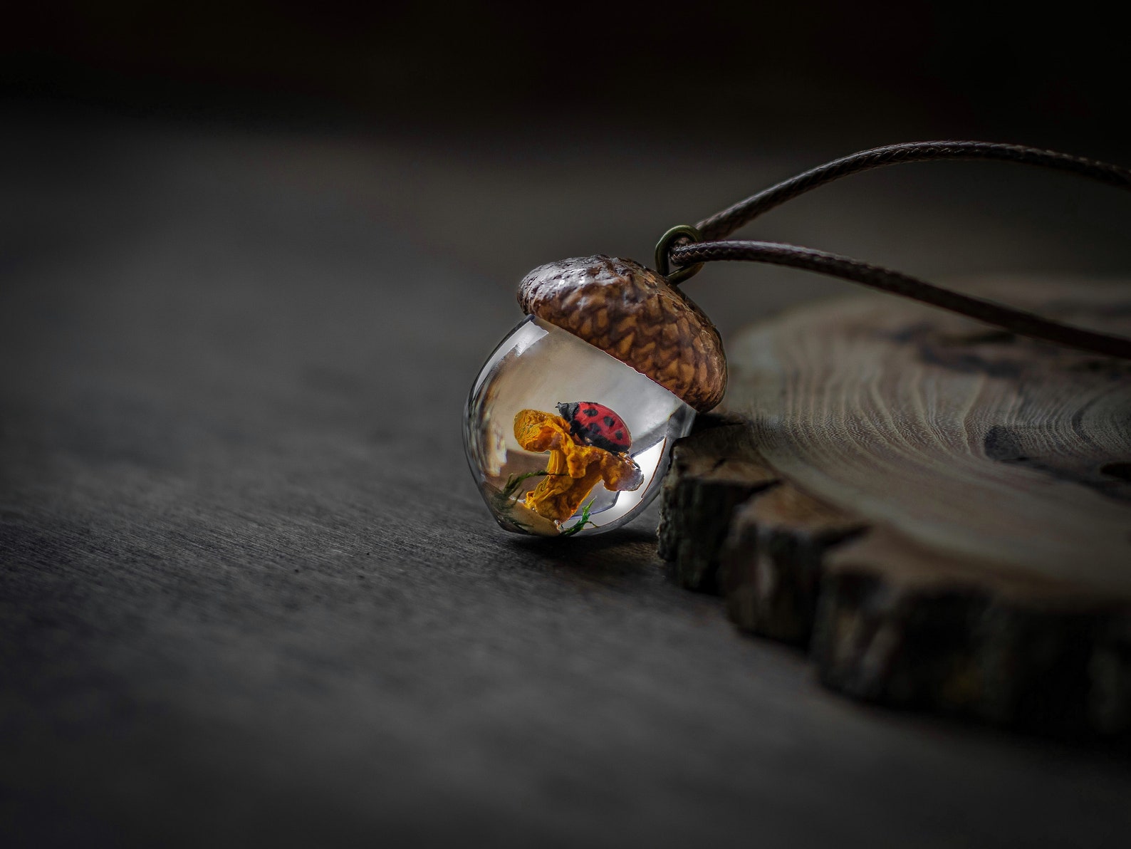 Acorn Necklace With Mushroom Frog Resin Jewelry Acorn - Etsy Canada