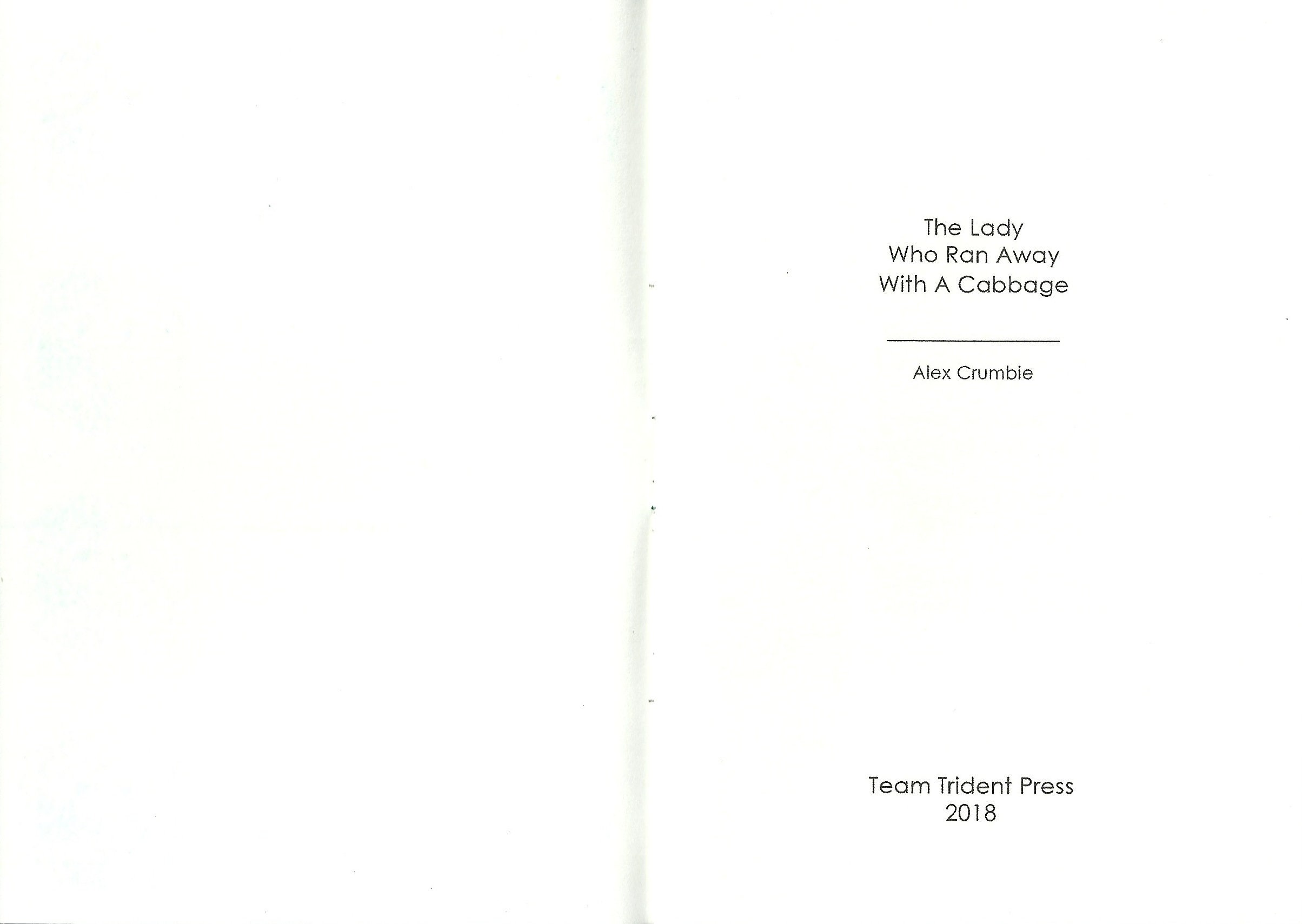 The Lady Who Ran Away With a Cabbage Short Story, Poem, Chapbook - Etsy