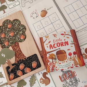 Little Acorn Nature Primer - Etsy