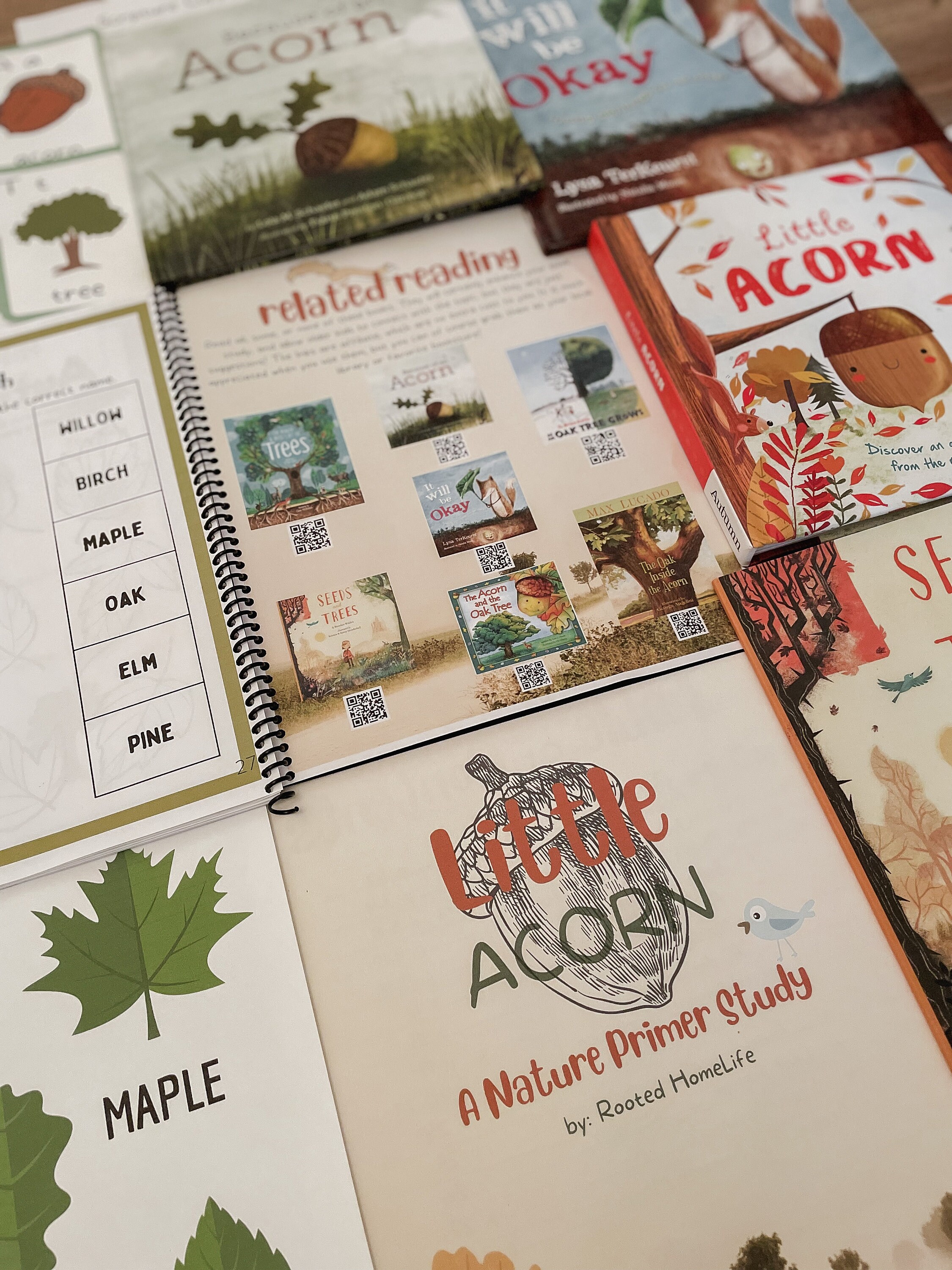 Little Acorn Nature Primer - Etsy
