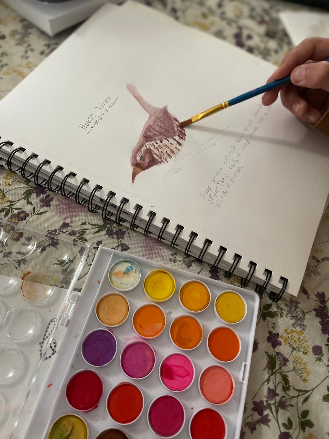 Burgess Bird Book for Children Book Companion & Notebooking Guide - Etsy UK