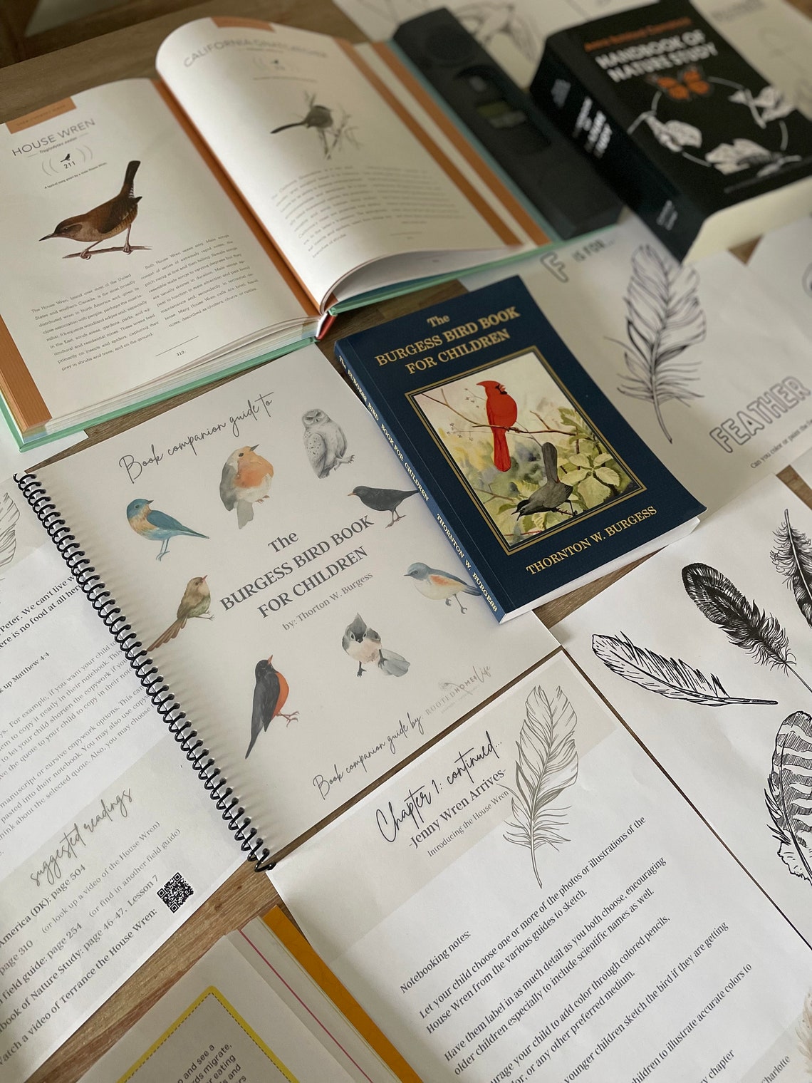 Burgess Bird Book for Children Book Companion & Notebooking Guide - Etsy UK