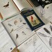 Burgess Bird Book for Children Book Companion & Notebooking Guide - Etsy