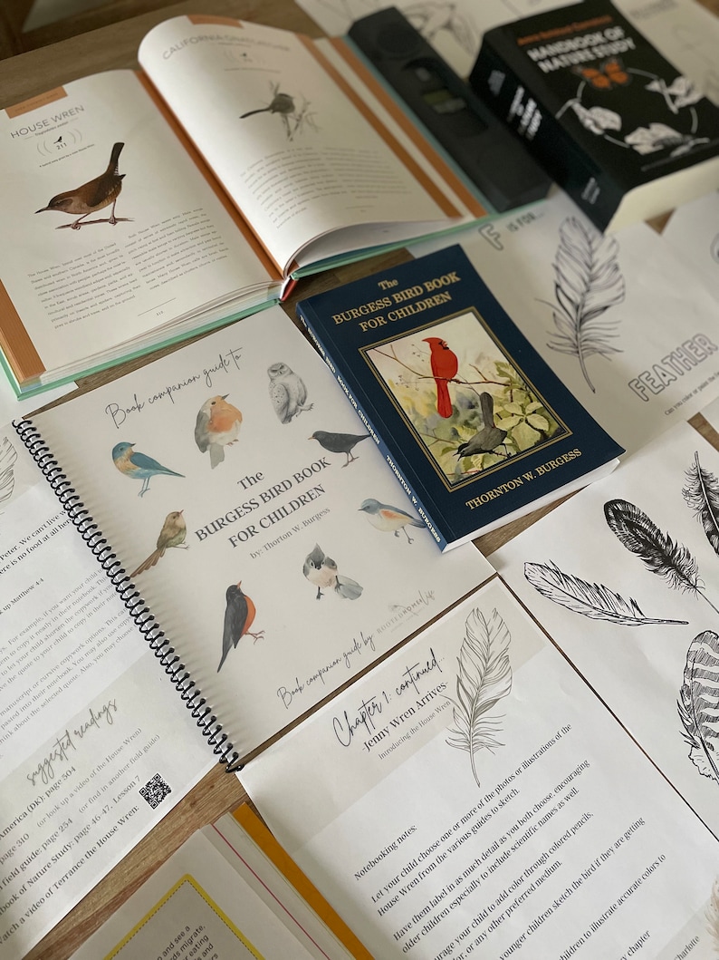 Burgess Bird Book for Children Book Companion & Notebooking Guide - Etsy
