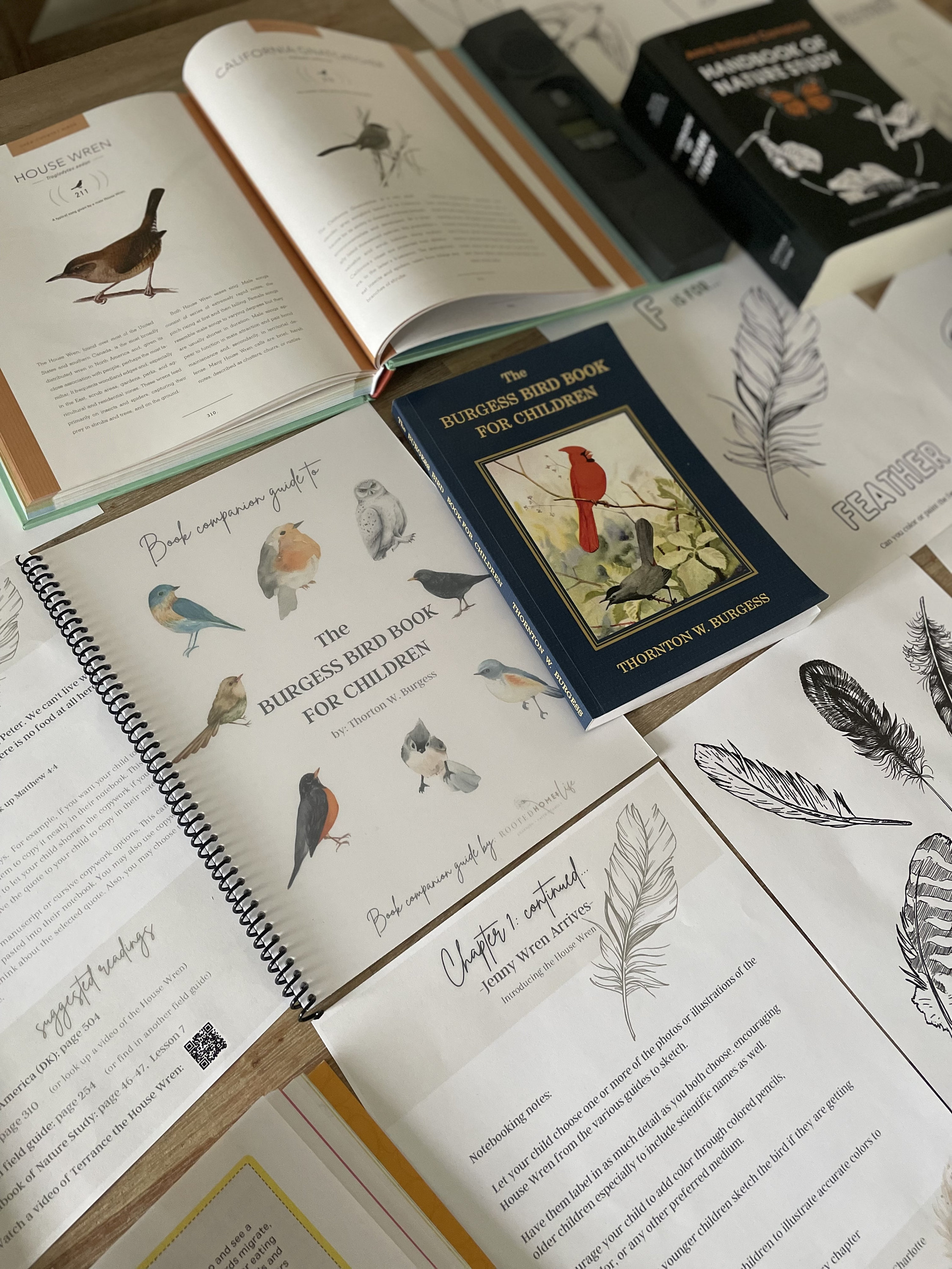 Burgess Bird Book for Children Book Companion & Notebooking Guide - Etsy UK