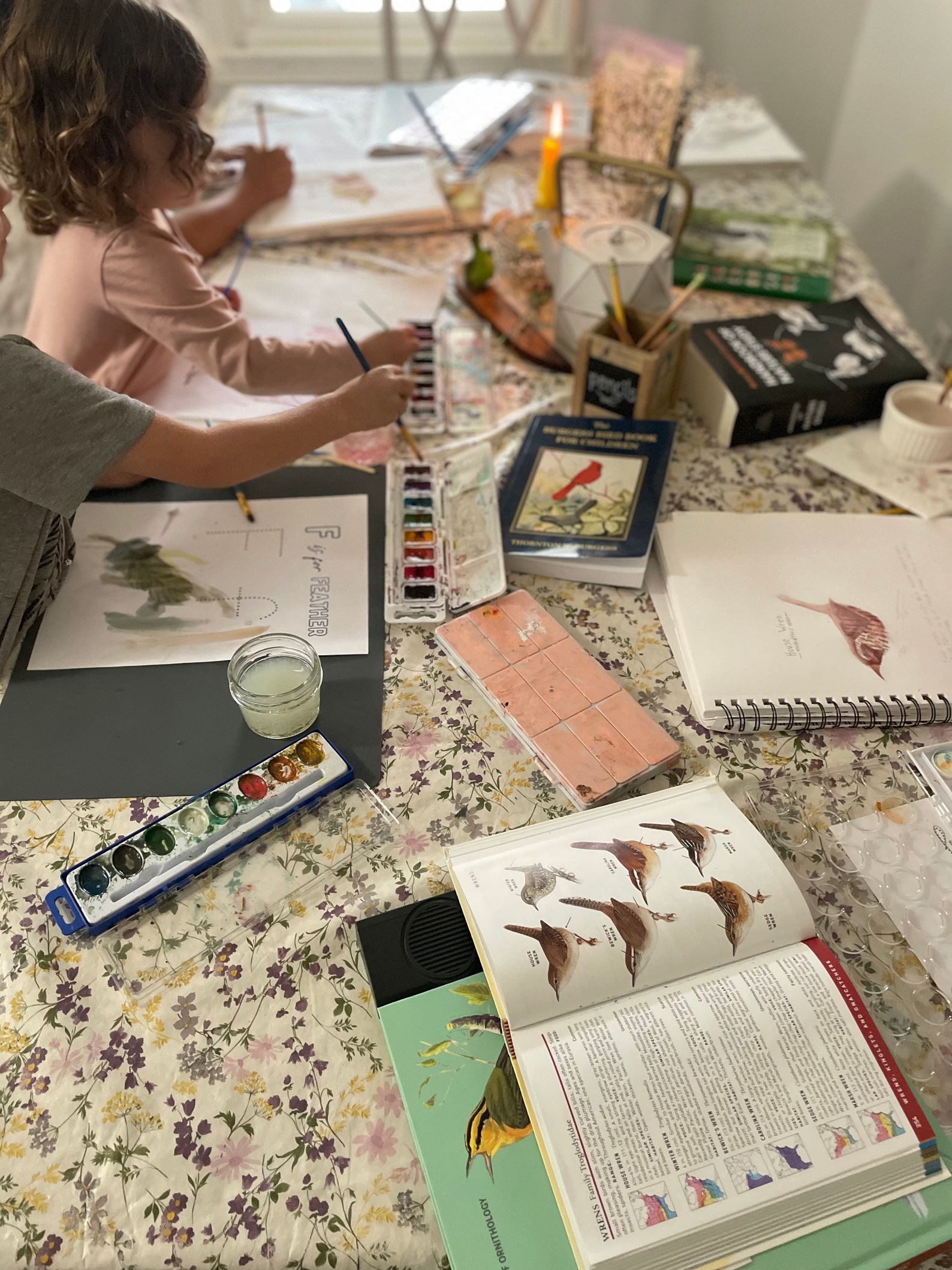 Burgess Bird Book for Children Book Companion & Notebooking Guide - Etsy