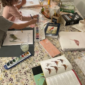 Burgess Bird Book for Children Book Companion & Notebooking Guide - Etsy