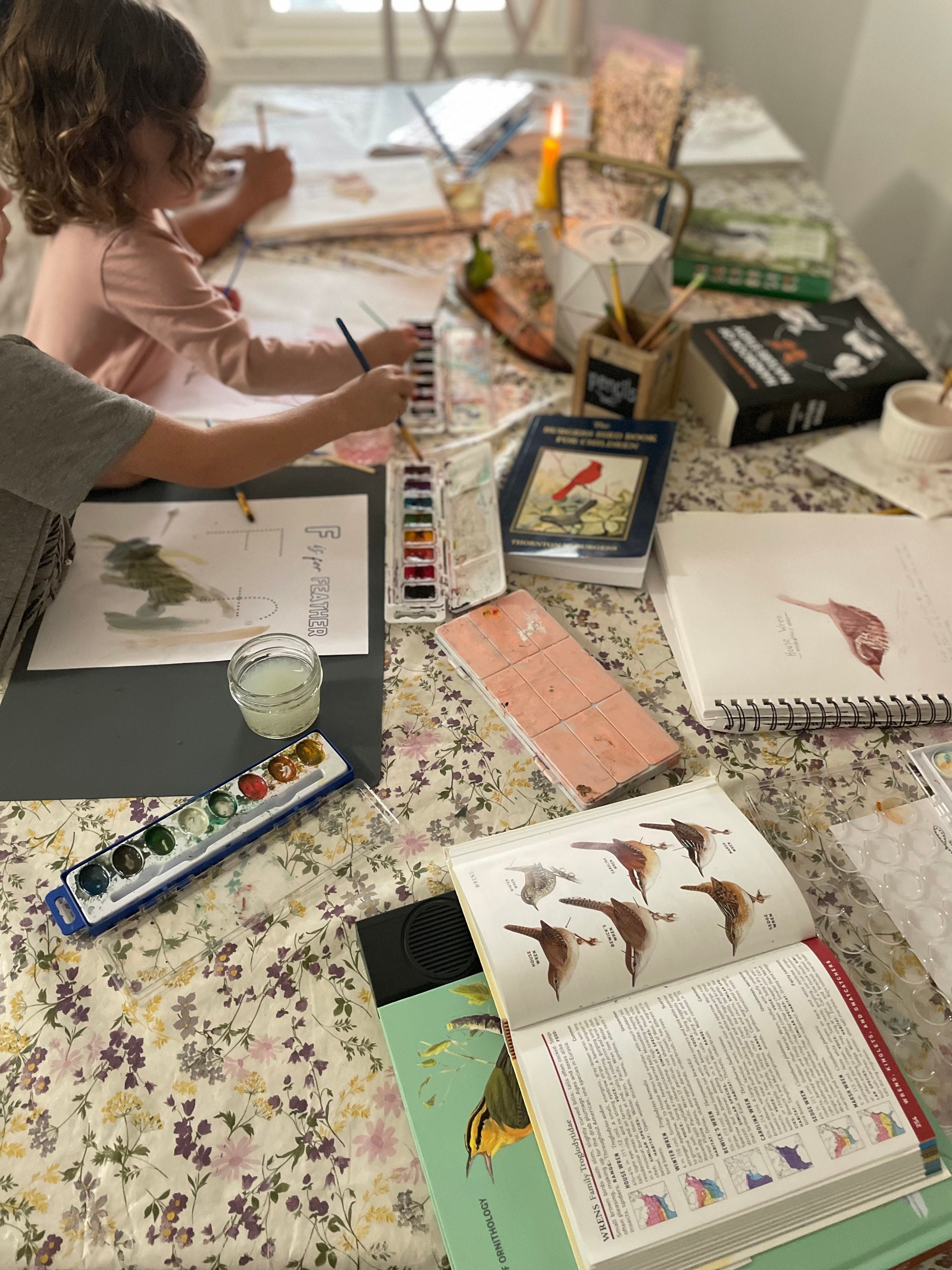 Burgess Bird Book for Children Book Companion & Notebooking Guide - Etsy UK