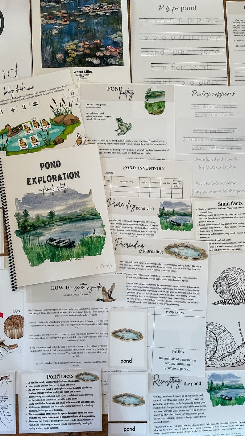 Pond Exploration A Family Study - Etsy