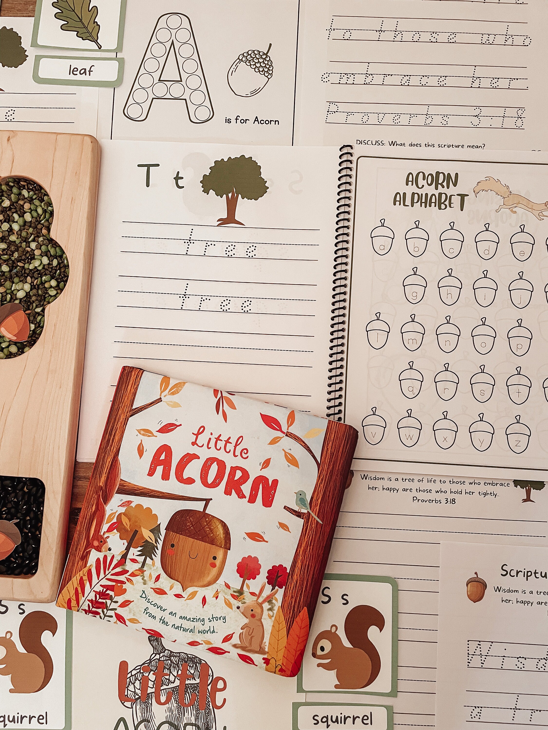 Little Acorn Nature Primer - Etsy