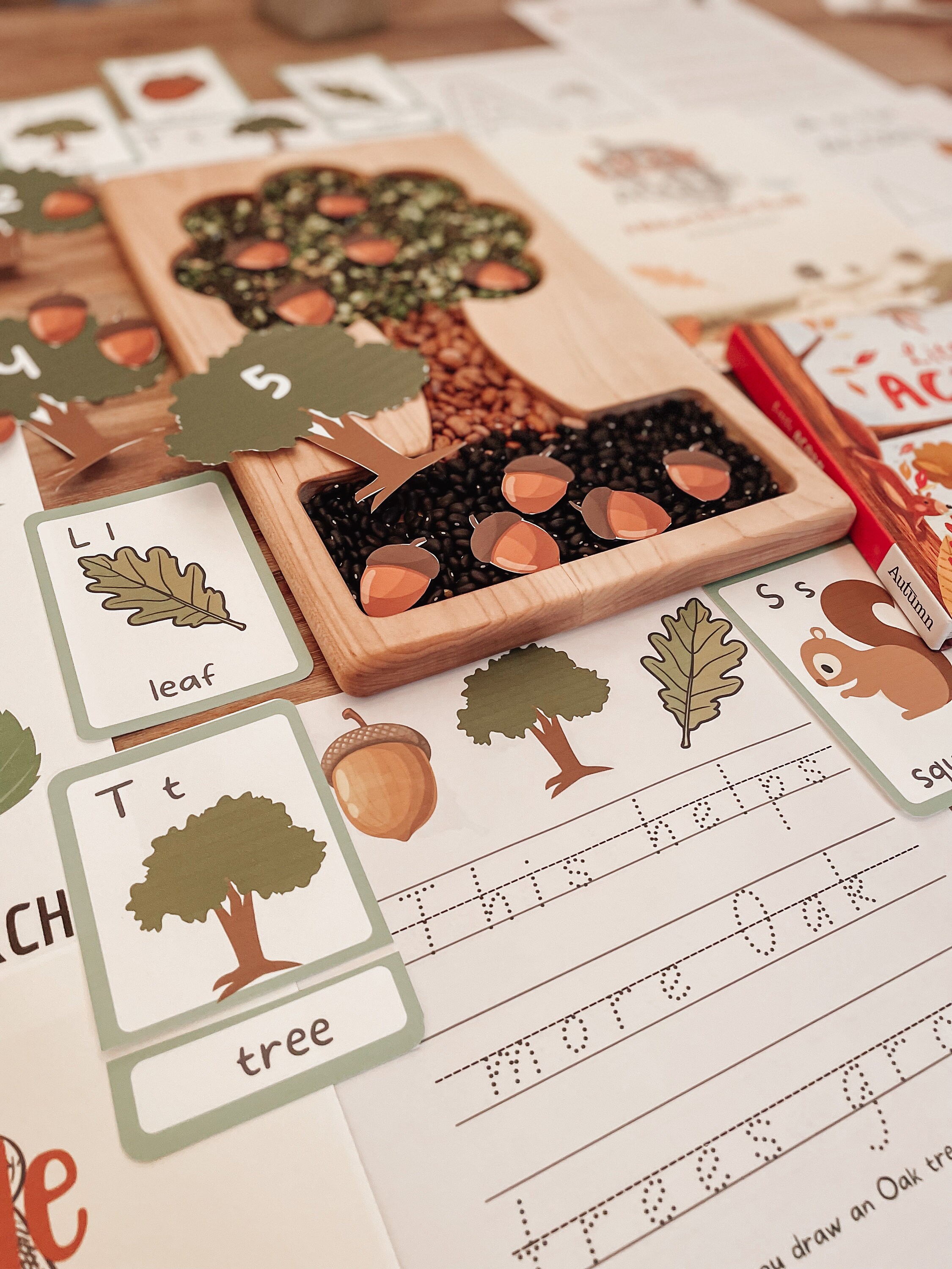 Little Acorn Nature Primer - Etsy