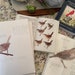 Burgess Bird Book for Children Book Companion & Notebooking - Etsy