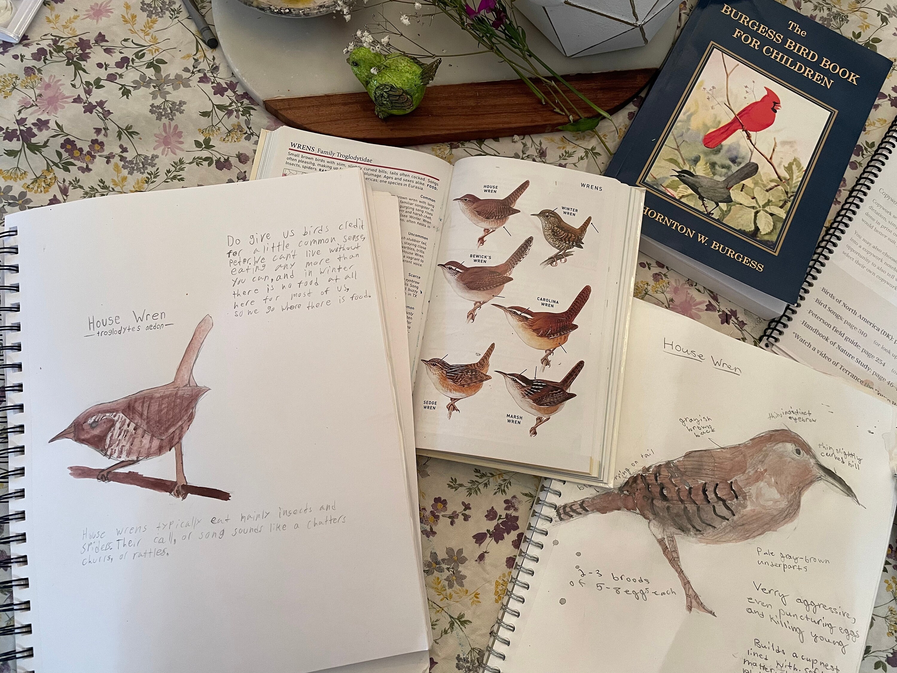 Burgess Bird Book for Children Book Companion & Notebooking Guide - Etsy UK