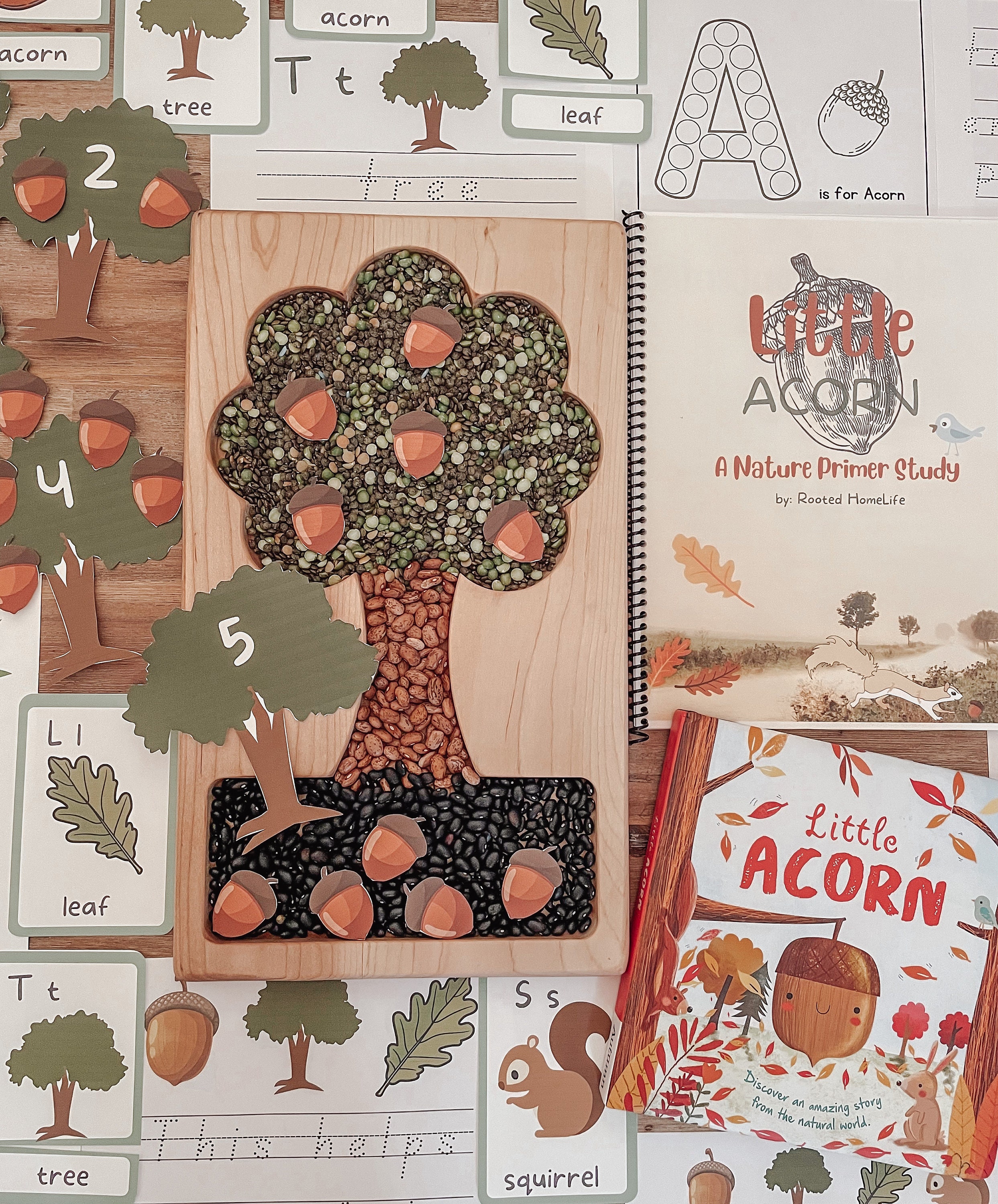 Little Acorn Nature Primer - Etsy