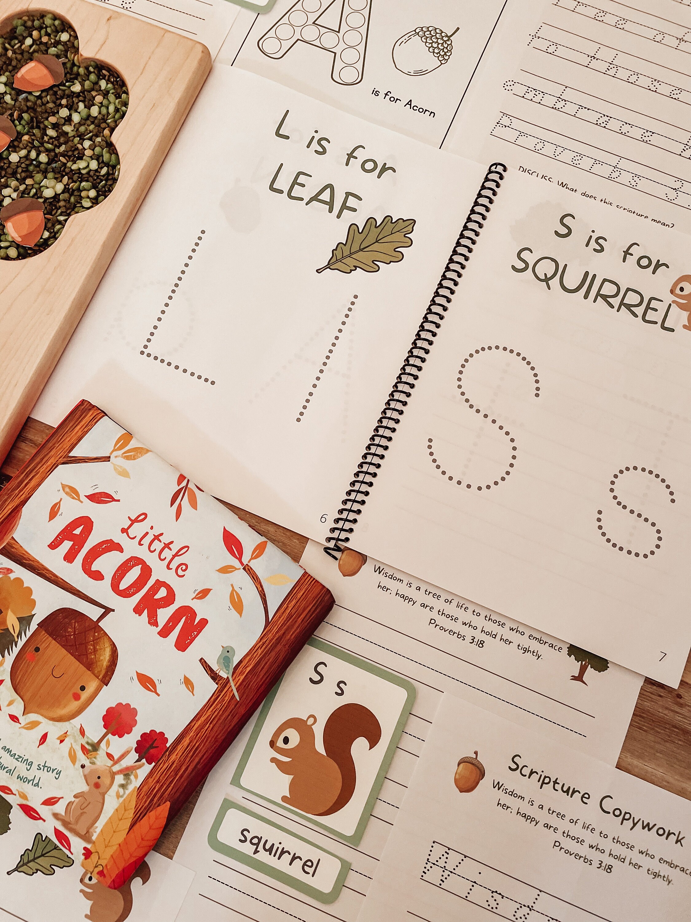 Little Acorn Nature Primer - Etsy