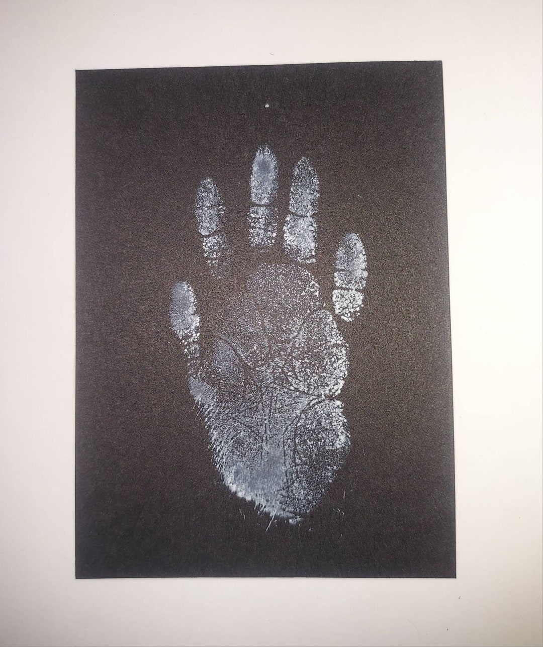 Raccoon Ink Footprint - Etsy