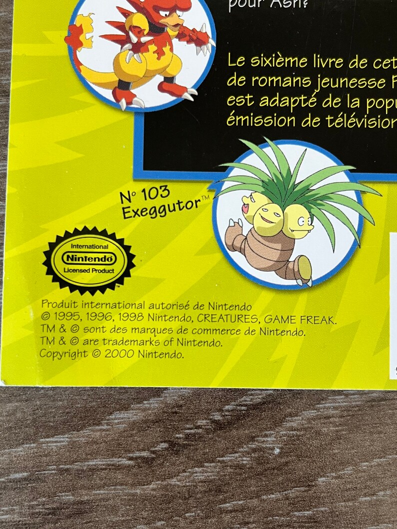 2 X 90s Pokémon Scholastic Books FRENCH. Bas-y Charizard and - Etsy