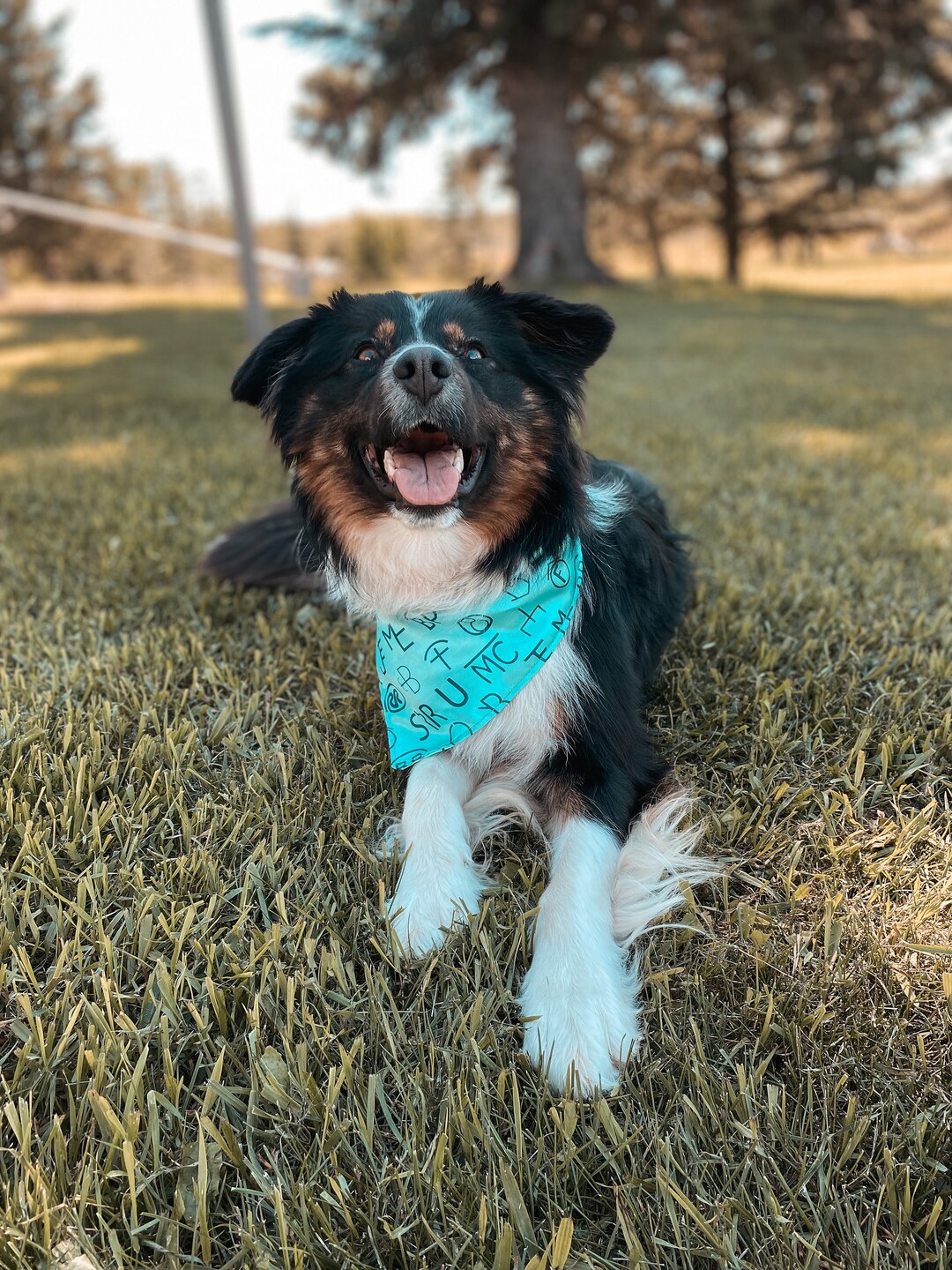 Mini Wild Rags - Etsy Canada