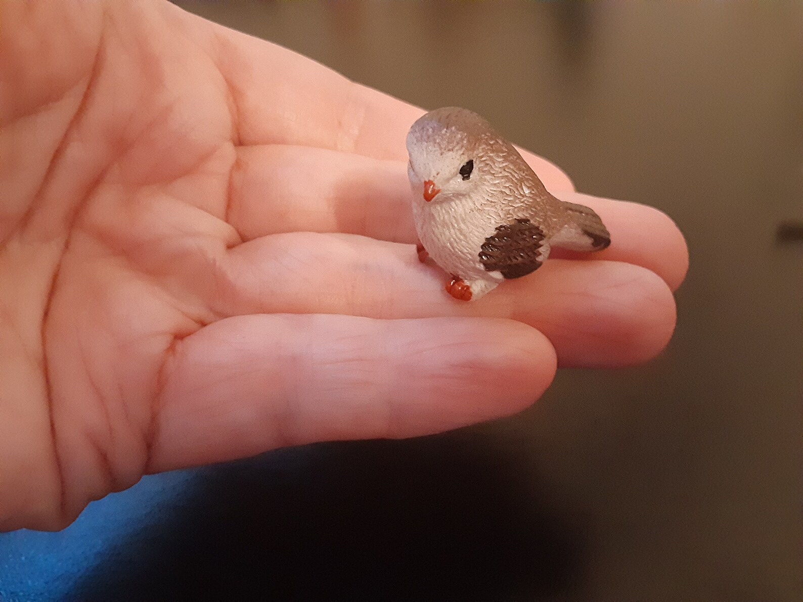 6pc Miniature Parrots - Etsy