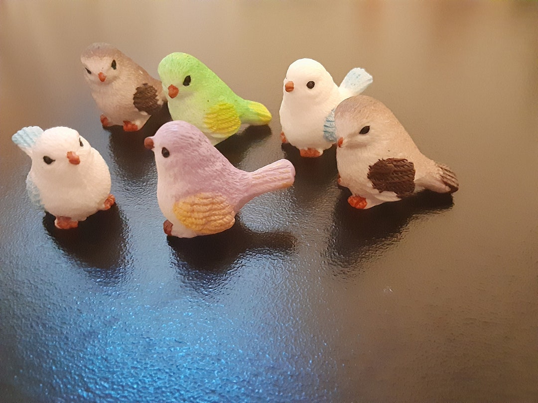 6pc Miniature Parrots - Etsy