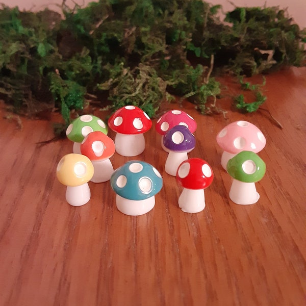 Miniature Mushroom - Etsy