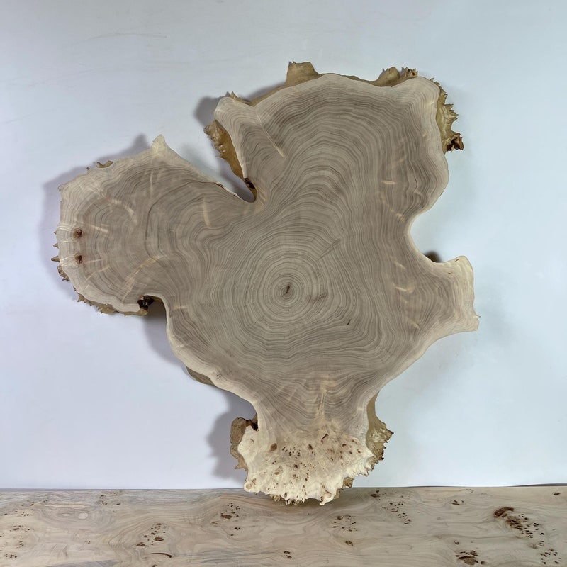 Tree Slab - Etsy