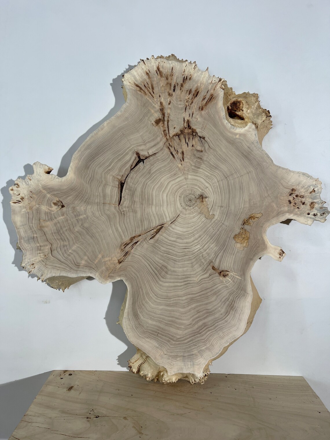 Poplar Burl Wood Slab 30x29x1.96 In Dry Slice for Table - Etsy