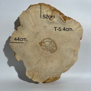 Maple Burl Slice 20.4x17.3x2.1in dry Live Edge Tree Cut for Woodworking ...
