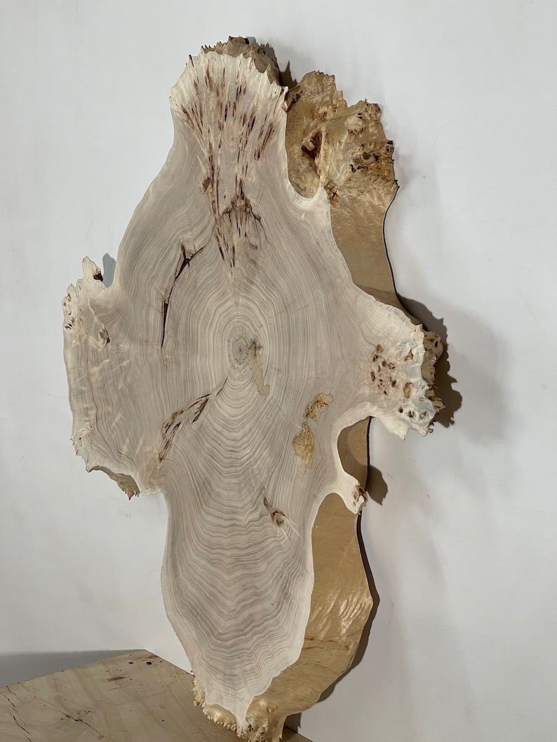 Poplar Burl Wood Slab 30x29x1.96 In Dry Slice for Table - Etsy