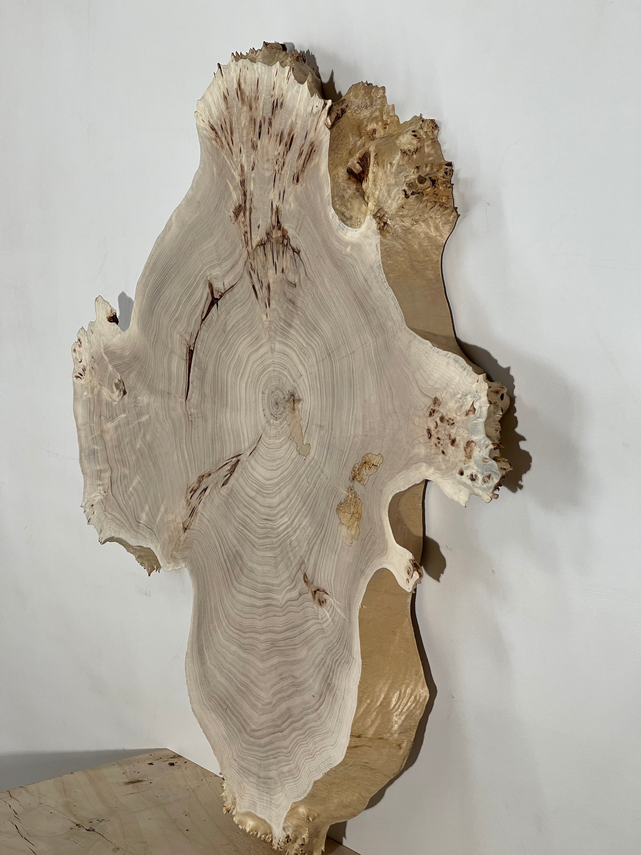 Poplar Burl Wood Slab 30x29x1.96 In Dry Slice for Table - Etsy