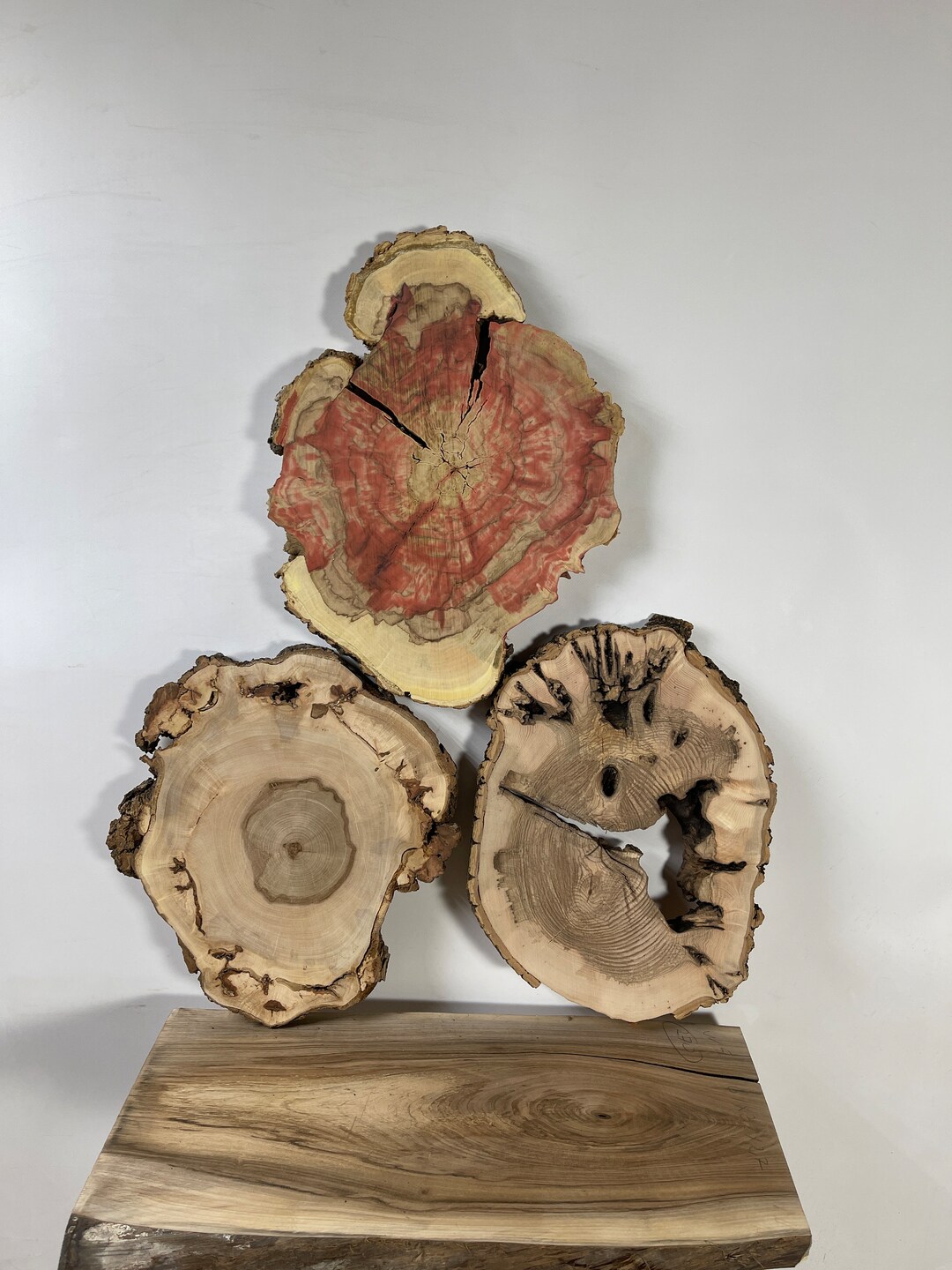 3pcs Mix Burl Wood: Maple, Ash, Chestnut Dry Slice for Woodworking ...