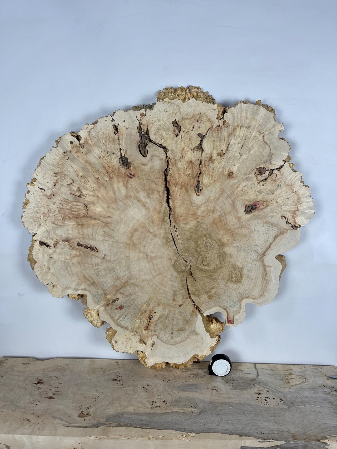 Rare Maple Burl Slice for Coffee Table 32.6x31.8x2.16 In" - Dried Slab ...