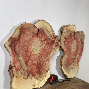 2pcs Rare Maple Slices, Dry Tree Cut for Woodworking Free Delivery - Etsy