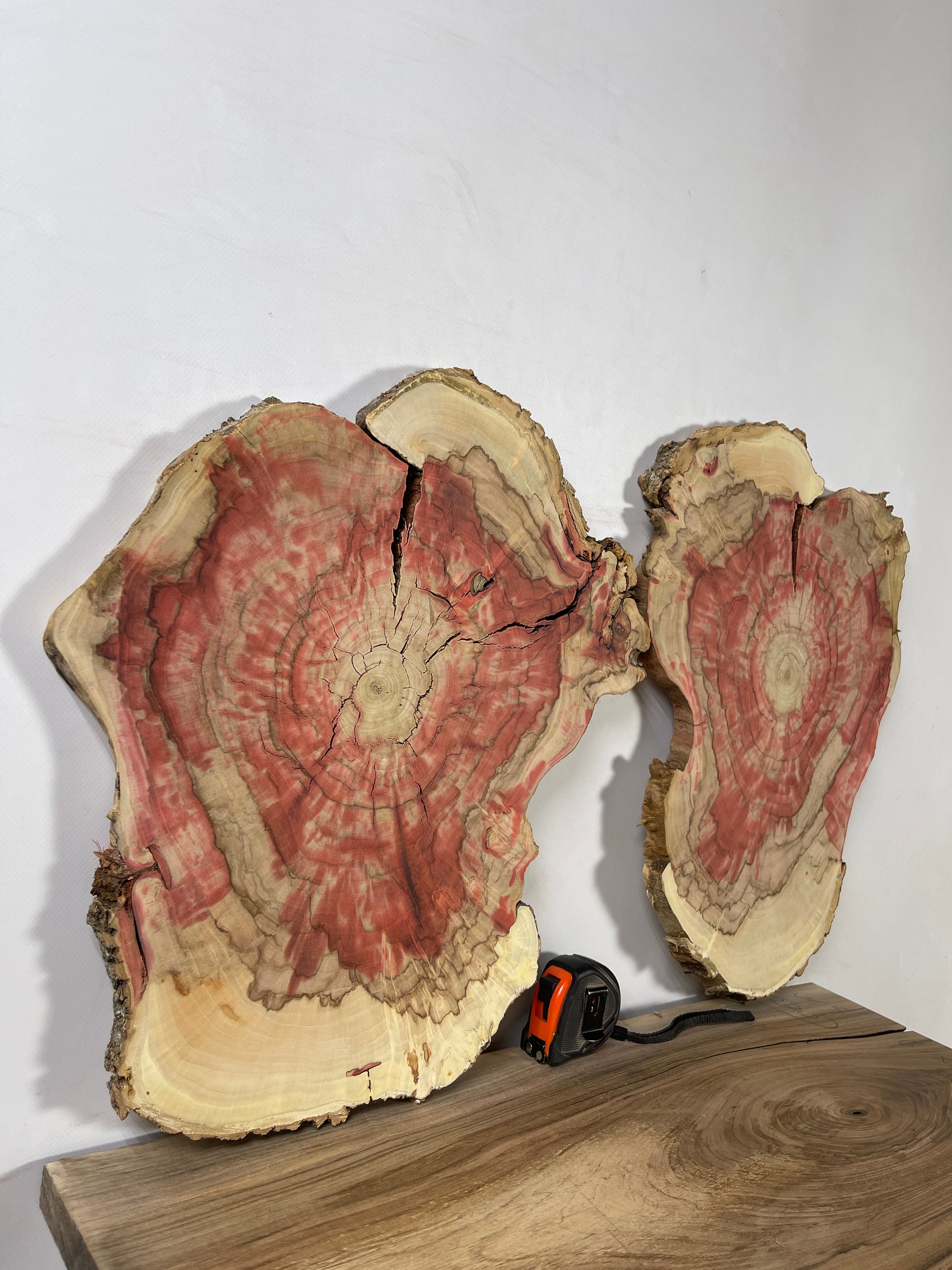 2pcs Rare Maple Slices, Dry Tree Cut for Woodworking Free Delivery - Etsy