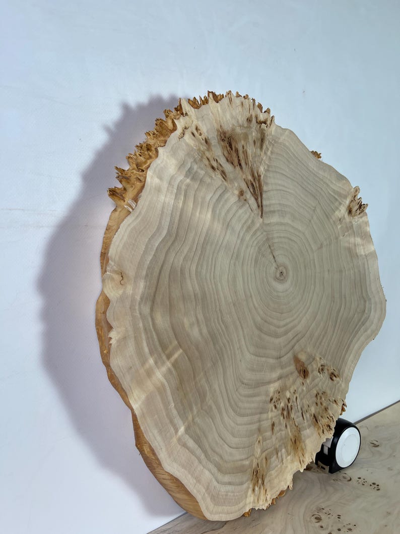 Live Edge Poplar Burl Slice 18x17.7x2in" - Dry Slab for Coffee Table ...