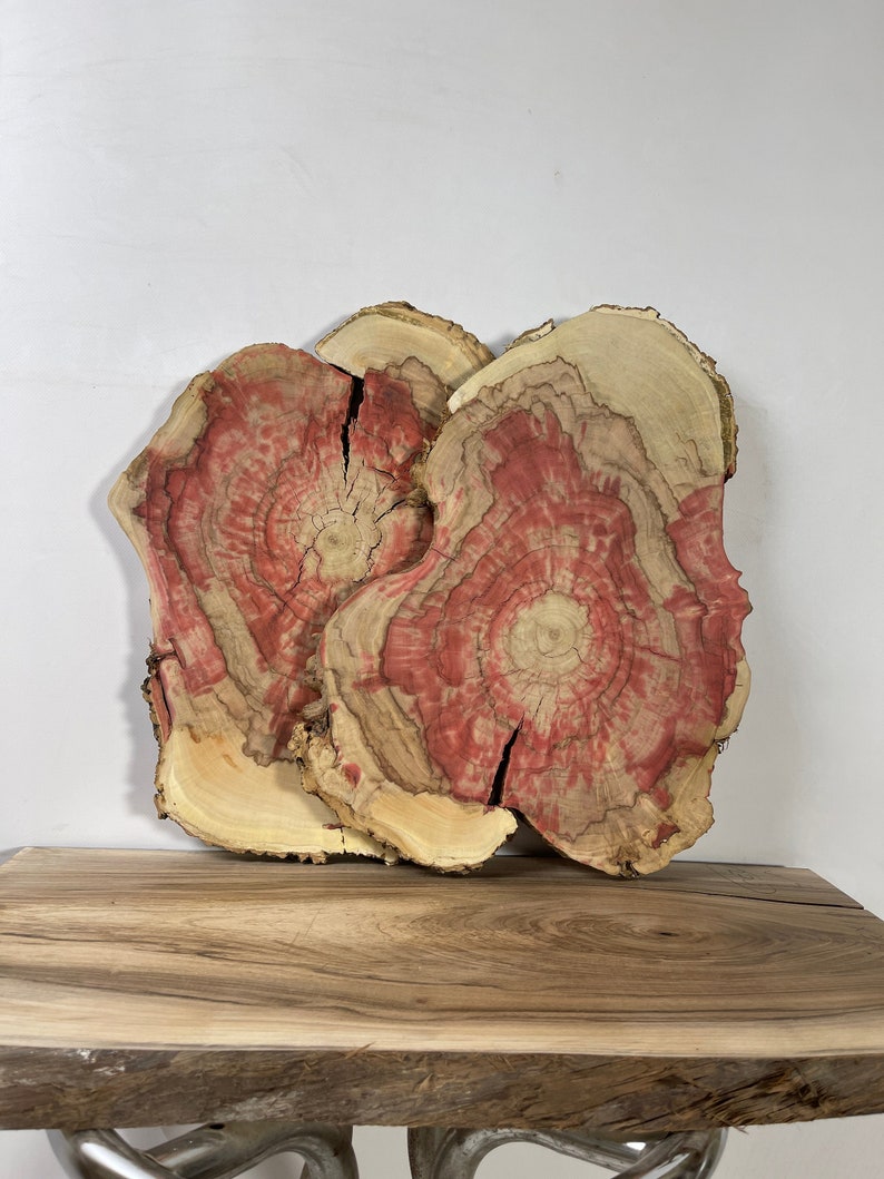 2pcs Rare Maple Slices, Dry Tree Cut for Woodworking Free Delivery - Etsy