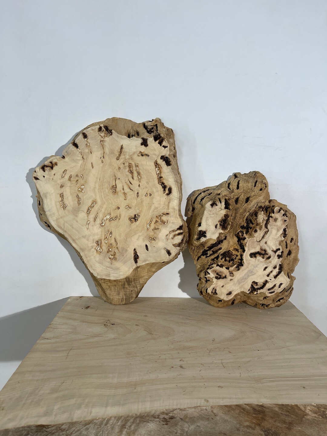 2pcs ASH Burl Live Edge Slice - Dry Rustic Slab for Woodworking - Etsy