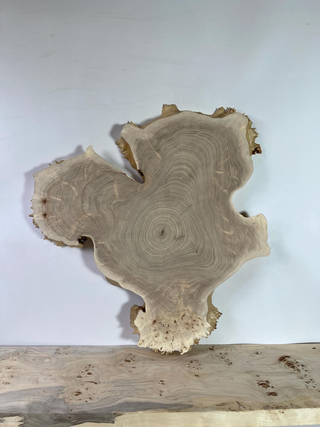 Live Edge Poplar Slab 29x27x2.2 In Dry Slice for Woodworking - Etsy