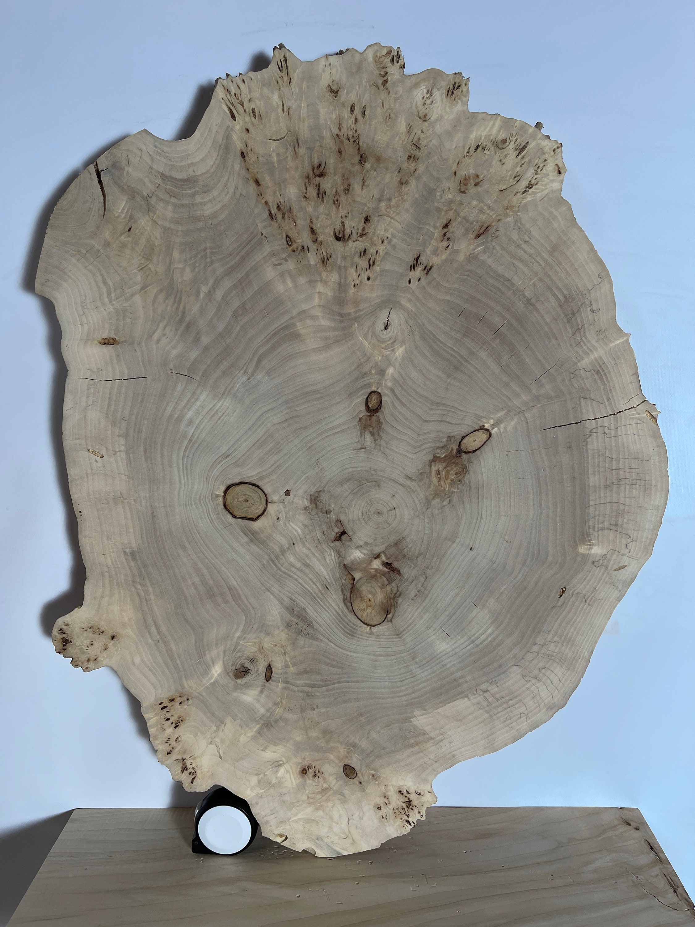 Live Edge Burl Poplar Slice 31.5x22.8x1.96in Dry Slab for Woodworking ...
