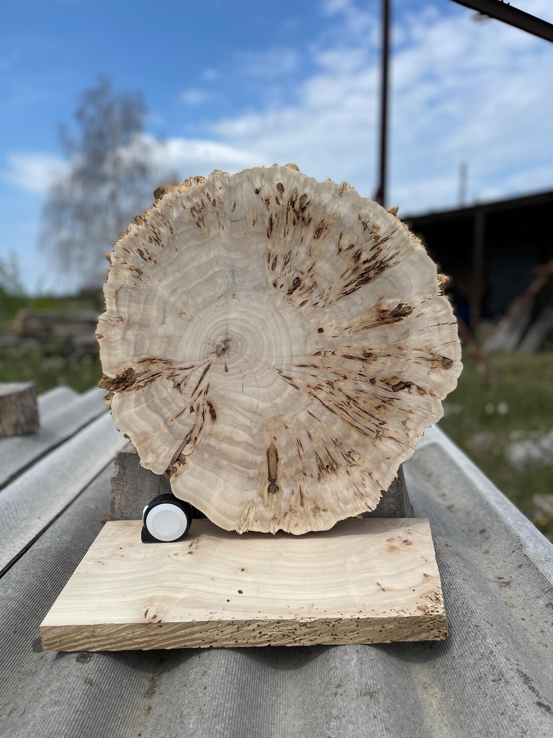 Round Poplar Burl Slice 19.7x19.7x2.6in for Coffee Table Dry Slab for ...