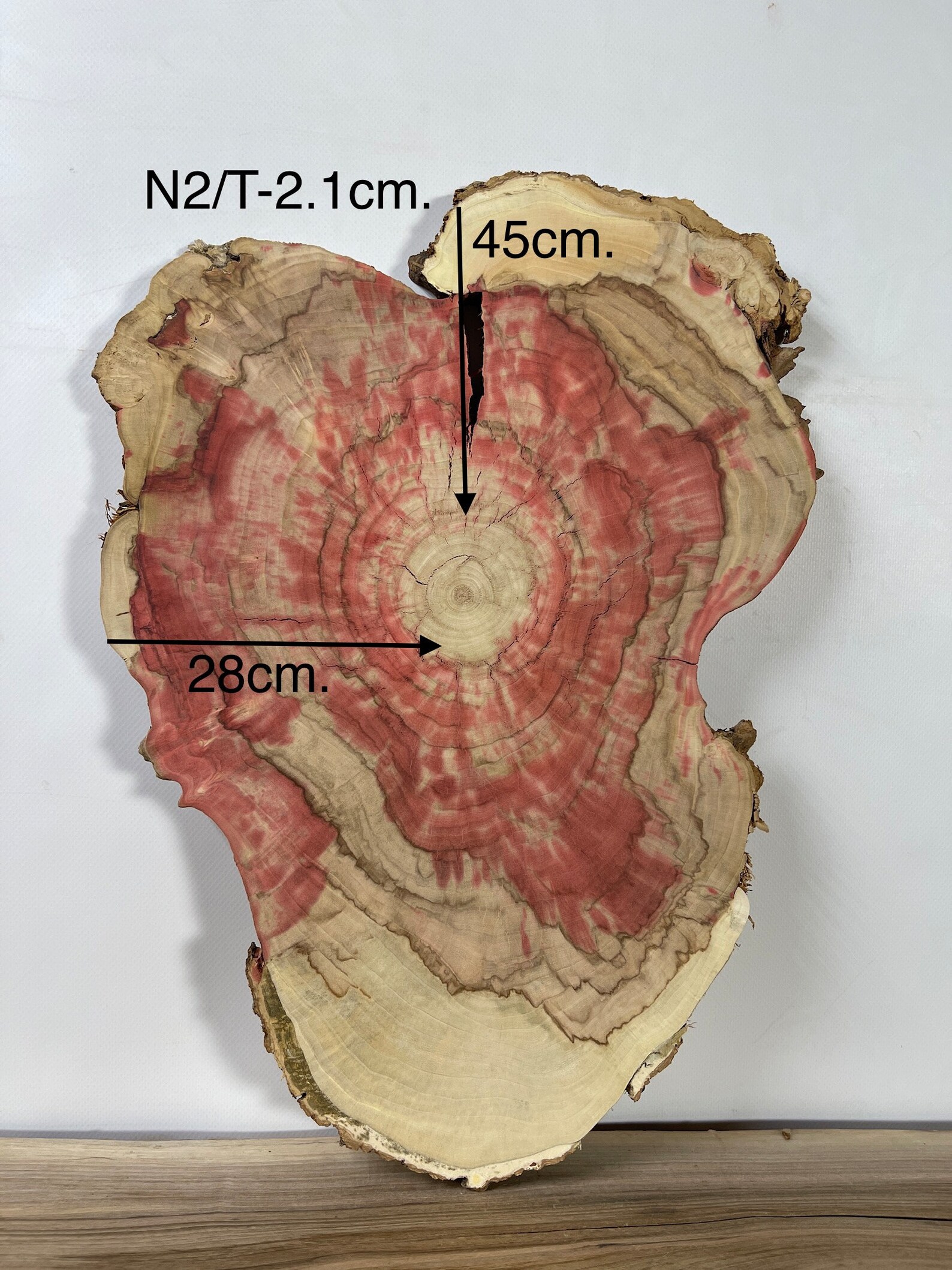 2pcs Rare Maple Slices, Dry Tree Cut for Woodworking Free Delivery - Etsy