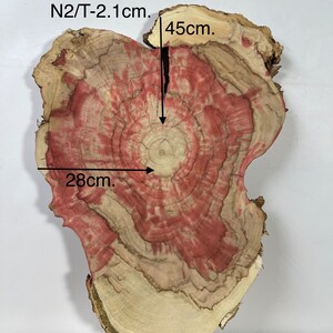 2pcs Rare Maple Slices, Dry Tree Cut for Woodworking Free Delivery - Etsy