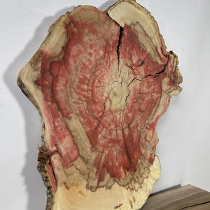 2pcs Rare Maple Slices, Dry Tree Cut for Woodworking Free Delivery - Etsy