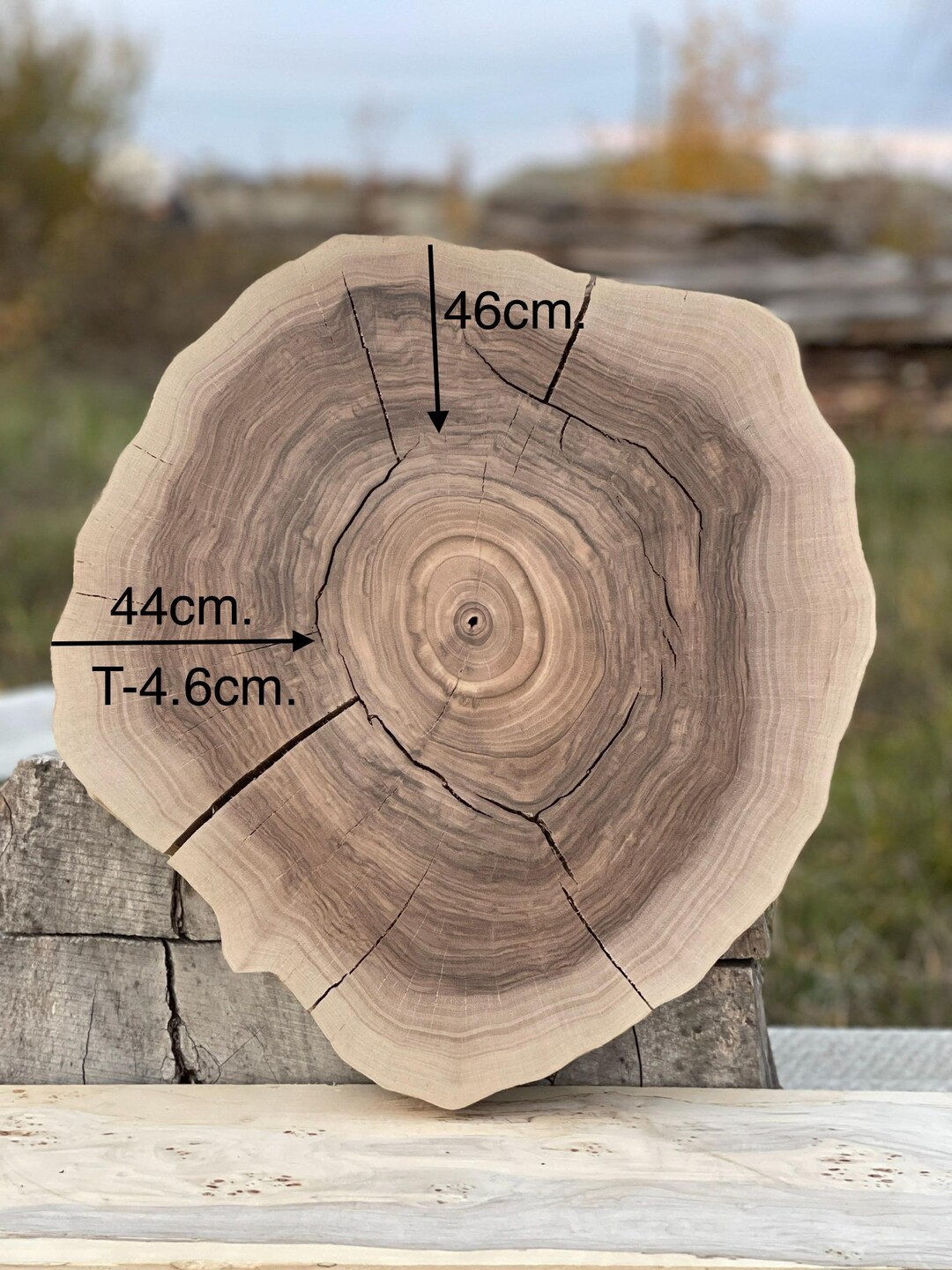 Walnut Live Edge Slice Without Bark 18x17x1.8 In" - Dry Cut for ...