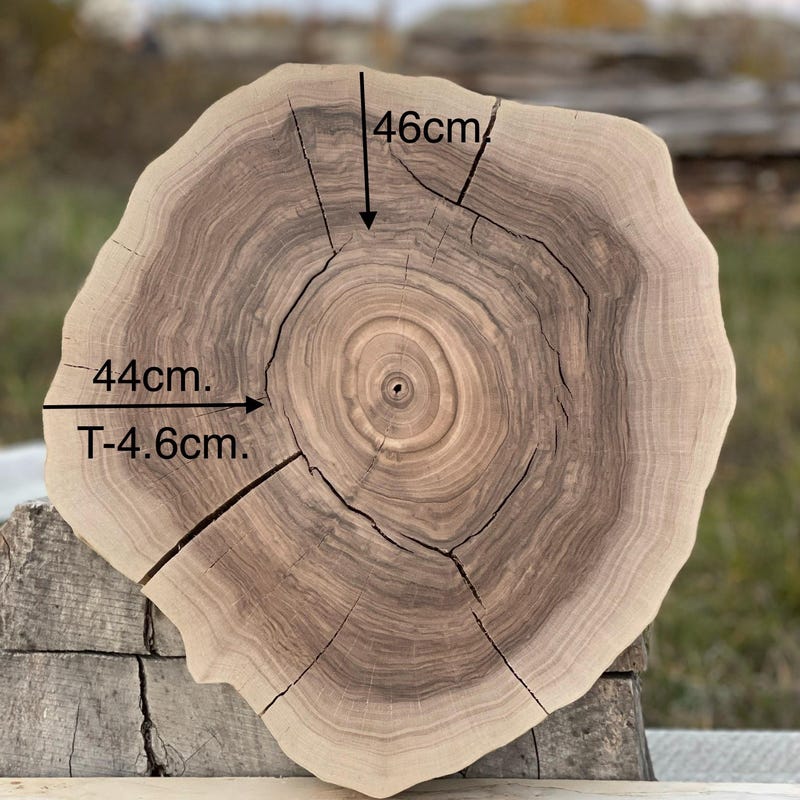 Black Walnut Slices - Etsy